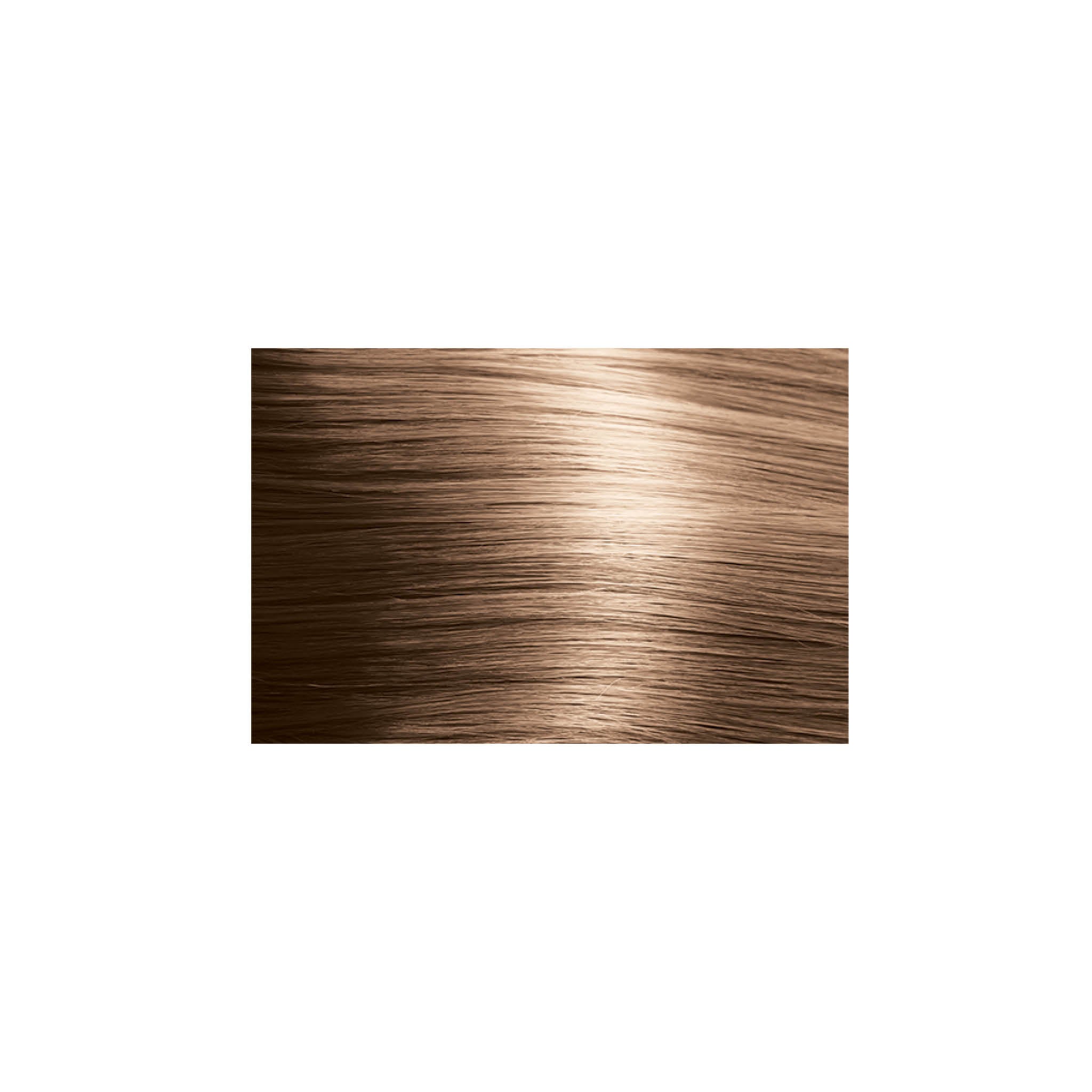 GLOSS NEUTRAL BROWN SERIES – Oligo Professionnel US
